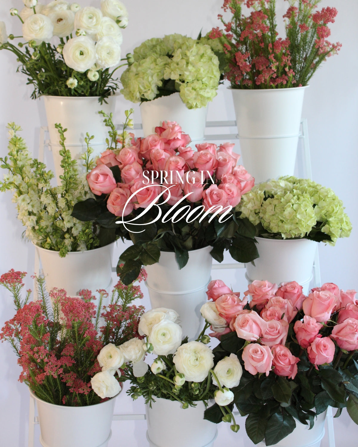 Bloom Brand Co. Modern Skincare & Beauty Brand – Bloom Brand Co